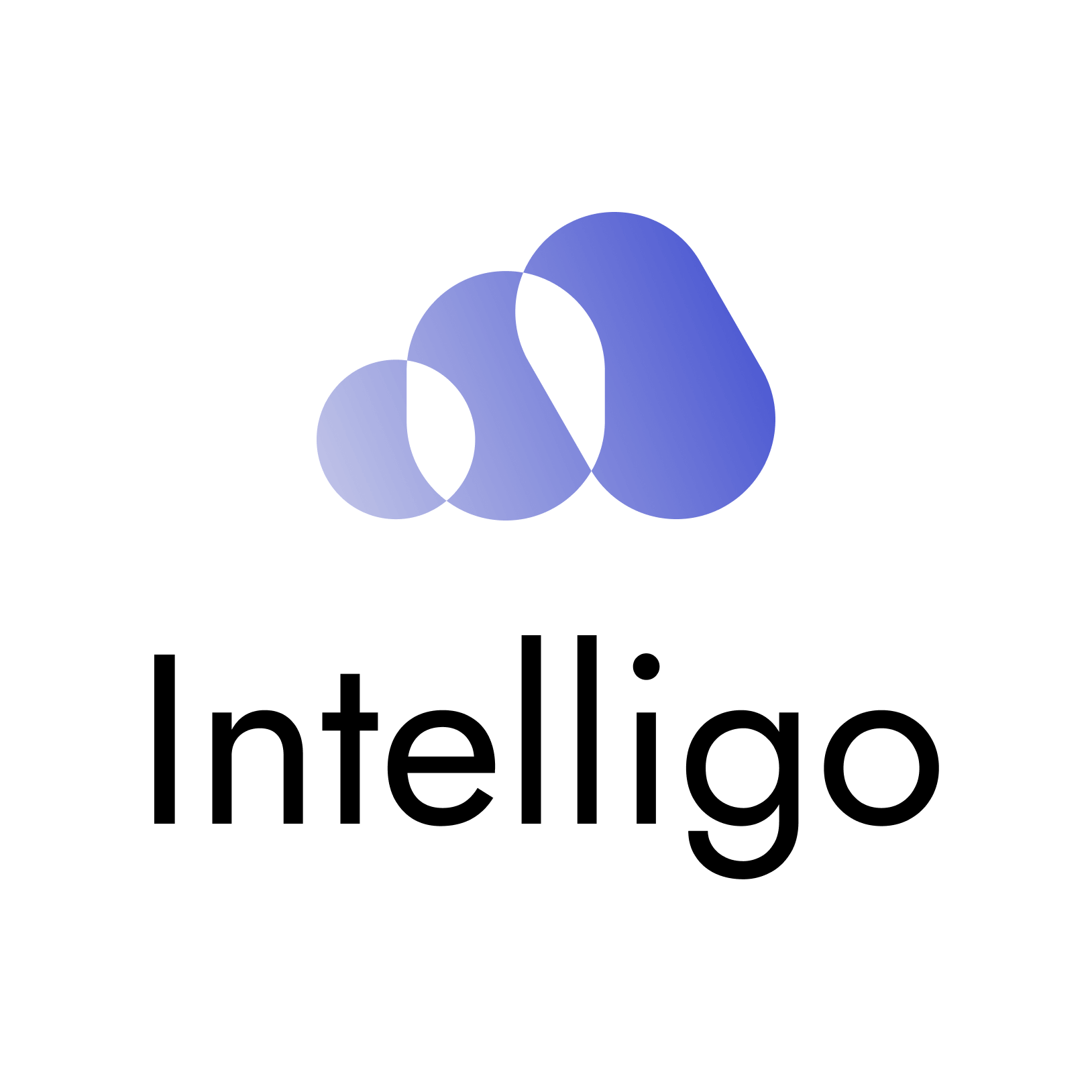 Intelligo - Market Research Field Agency
